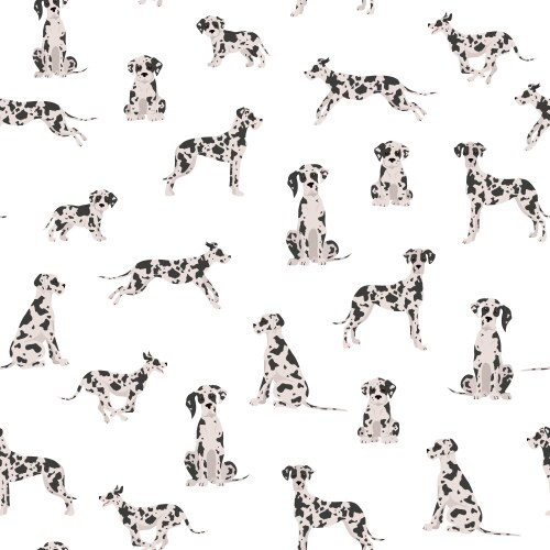 Great dane seamless pattern different variaties Vector Image