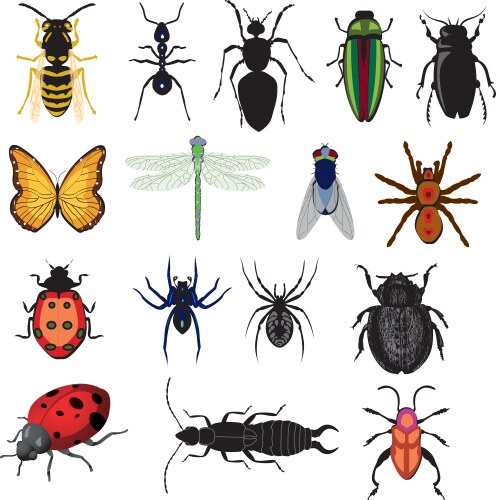 Cute cartoon insects funny little insect Vector Image