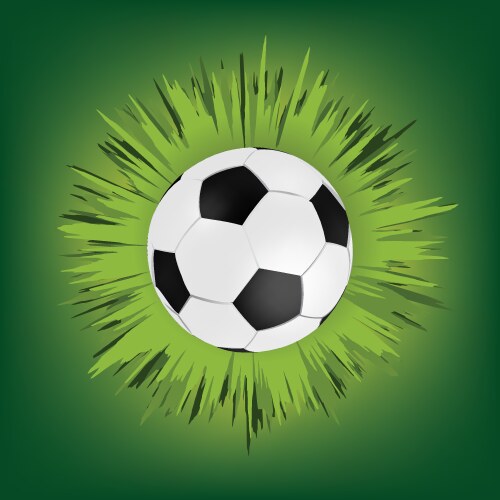 Realistic soccer football green background Vector Image