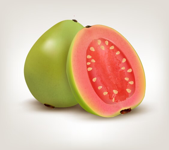 Guava Vector Images (over 4,800)