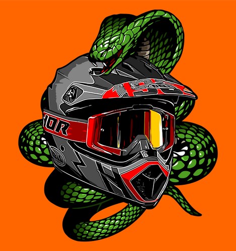 Yellow motorcycle helmet wrapped around a snake Vector Image