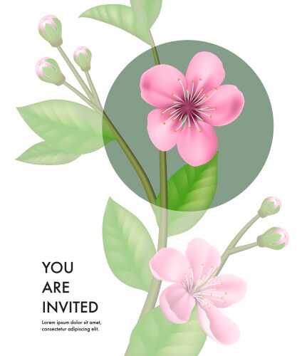 You are invited card template with transparent Vector Image