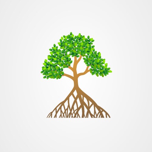 Mangrove tree with green foliage Royalty Free Vector Image