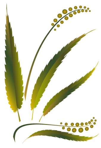 Weed Vector Images (over 69,000)