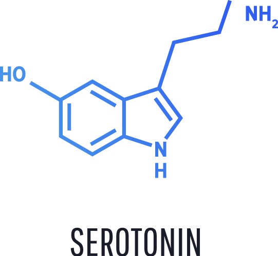 Dopamine & Serotonin Formula Royalty Free Vector Image