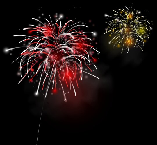 Colorful fireworks display celebration night sky Vector Image