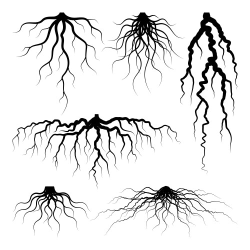 Tree with Roots Outline Vector Images (over 3,700)
