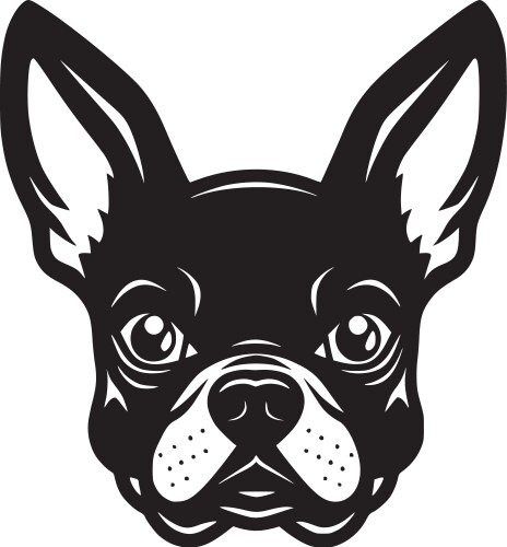 Boston terrier - high quality logo ideal Vector Image