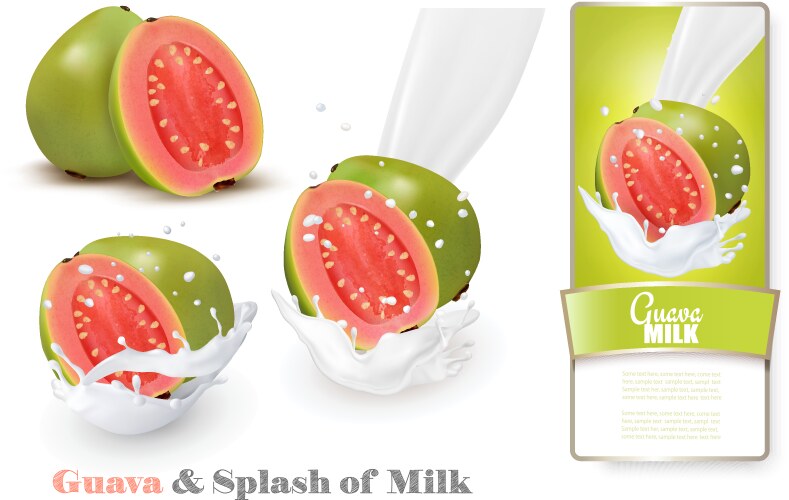Big collection icons of fruit in a milk splash Vector Image