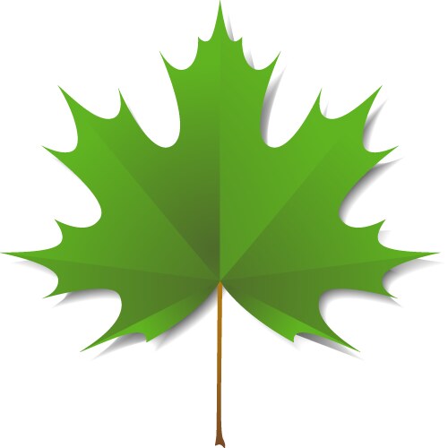 Paper maple leaf Royalty Free Vector Image - VectorStock