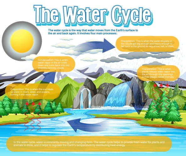 Science of water cycle Royalty Free Vector Image