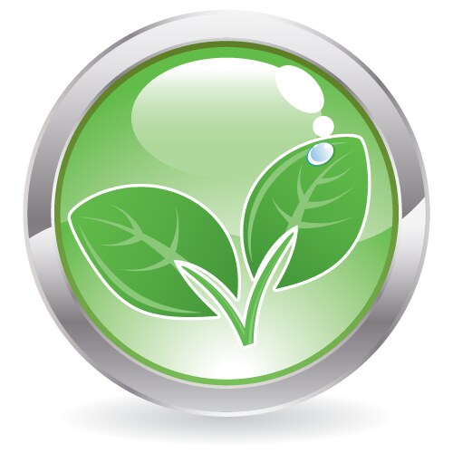 Flat-icon-betel-leaf Royalty Free Vector Image