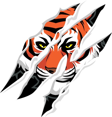 Tiger Marks Vector Images (over 2,800)