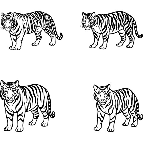 Tiger stalking svg Royalty Free Vector Image - VectorStock