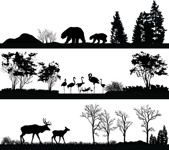 Wild Animals Vector Images (over 760,000)