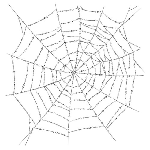 Spider Web Drawing Vector Images (over 5,700)