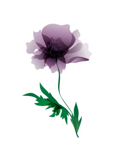 Violet flower Royalty Free Vector Image - VectorStock