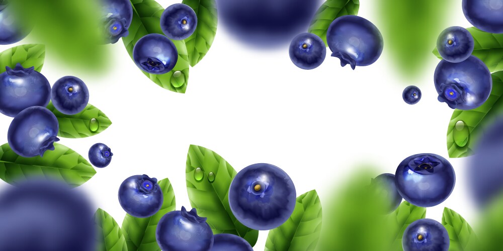 Blueberry Vector Images (over 27,000)