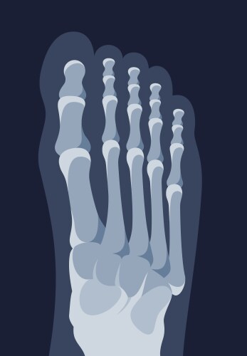 Foot Leg Vector Images (over 34,000)