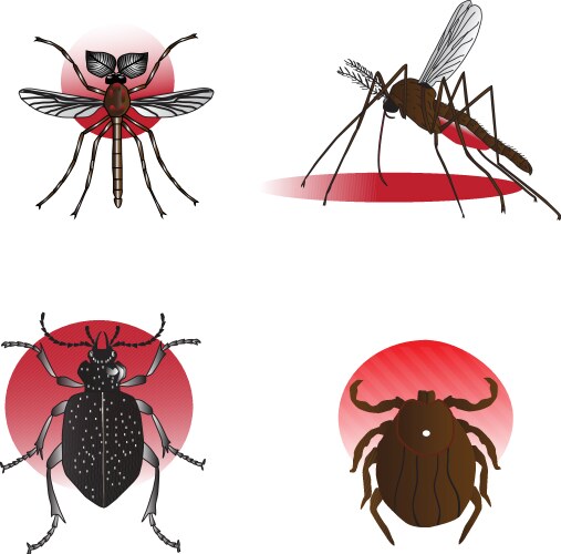 Insect Vector Images (over 240,000)