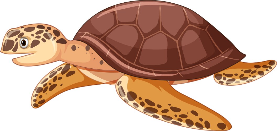 Sea turtle color Royalty Free Vector Image - VectorStock