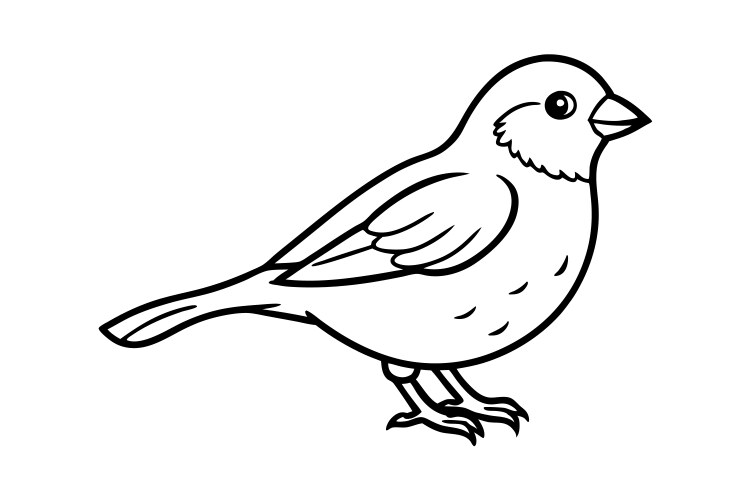 Robin Line Drawing Vector Images (over 600)