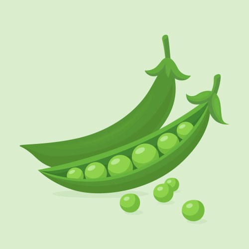 Green peas in a pod Royalty Free Vector Image - VectorStock