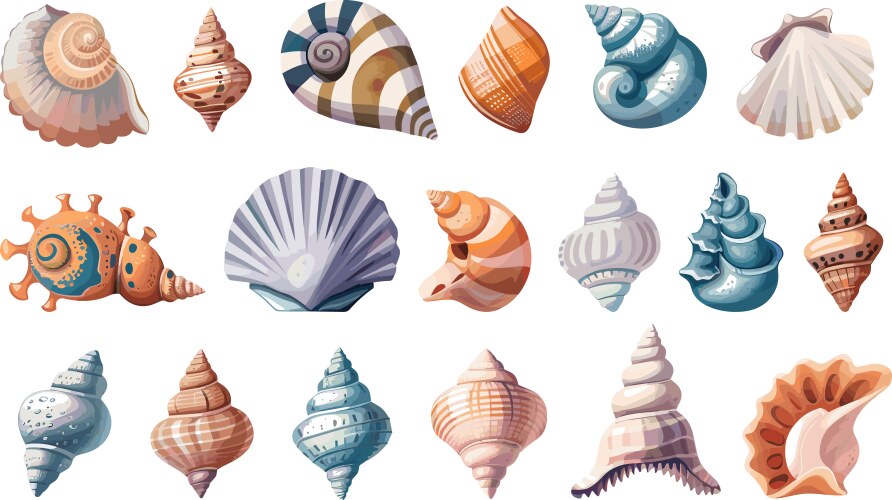 Cartoon Seashell Vector Images (over 8,800)