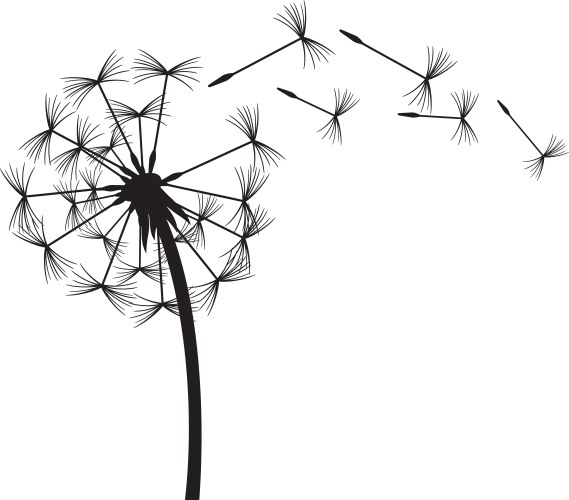 Dandelion Vector Images (over 14,000)