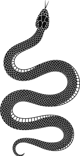 Snake Royalty Free Vector Image - VectorStock