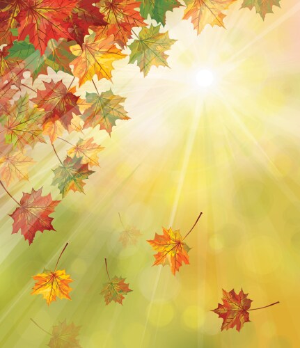 October Borders Vector Images (over 13,000)