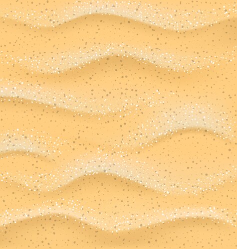 Sand Vector Images (over 210,000)