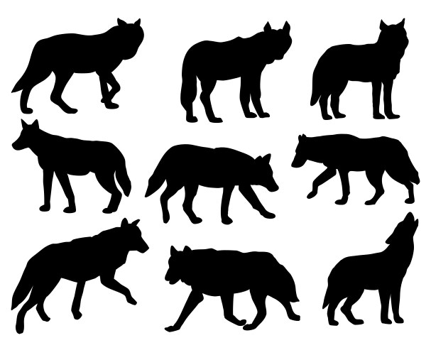 Wolf Outline Vector Images (over 8,800)