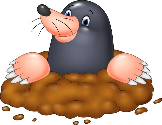 Cartoon Mole Vector Images (over 1,200)