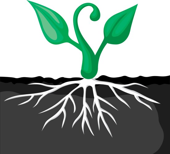 Cartoon Sprout Vector Images (over 6,300)