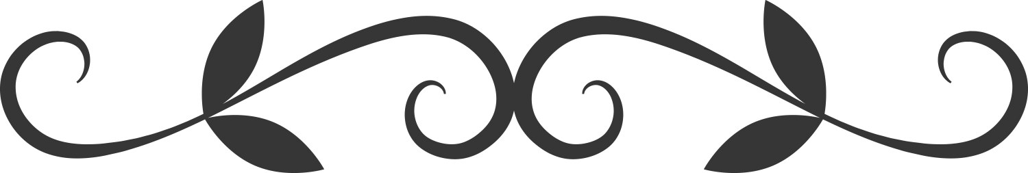 Page divider and design element Royalty Free Vector Image