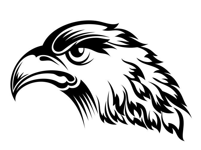 Realistic Eagle Vector Images (over 1,600)