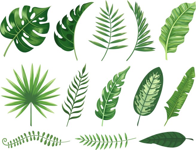 Plant Vector Images (over 2.2 million)