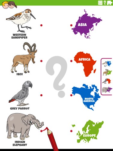 Match animal species and continents educational Vector Image