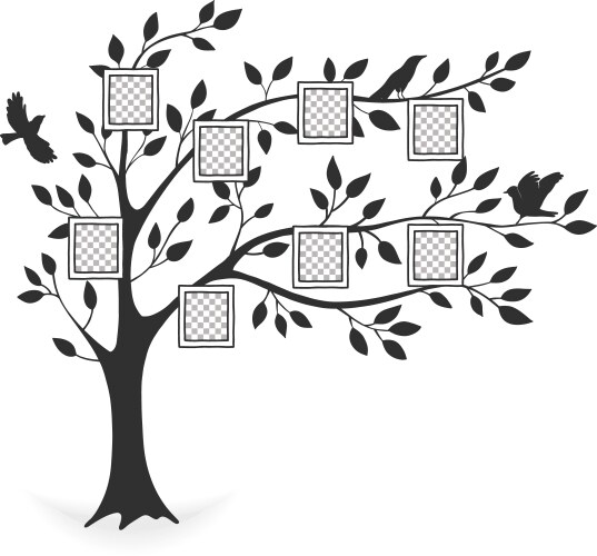 Family tree template design Royalty Free Vector Image