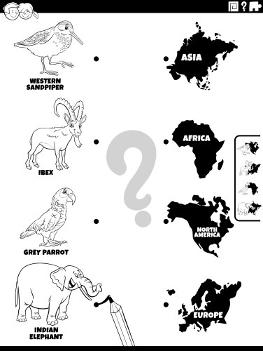 Match animal species and continents educational Vector Image