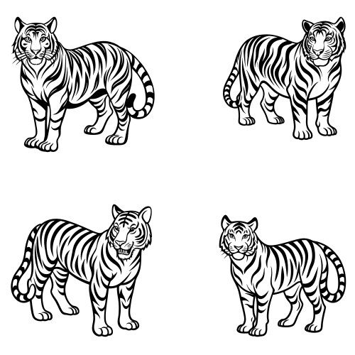 Tiger standing on all fours svg Royalty Free Vector Image