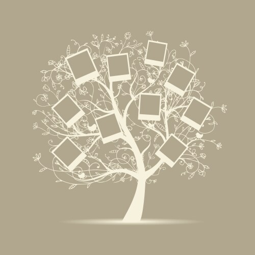 Family tree design insert your photos into frames Vector Image