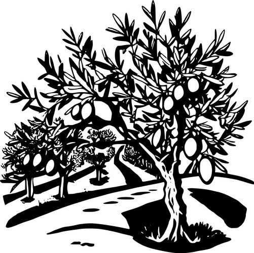 Olive Tree Print (59254323) – Royalty-Free Vector | VectorStock