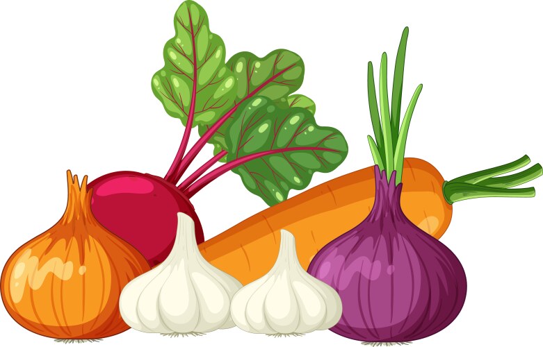 Clipart of Garlic Vector Images (over 470)