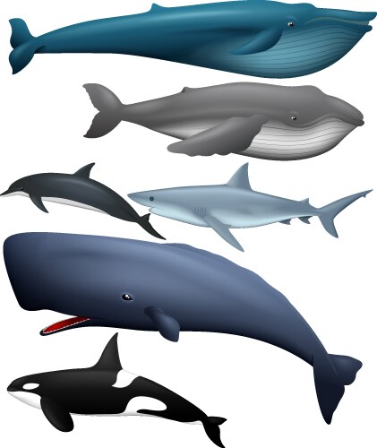 Dory Vector Images (over 100)