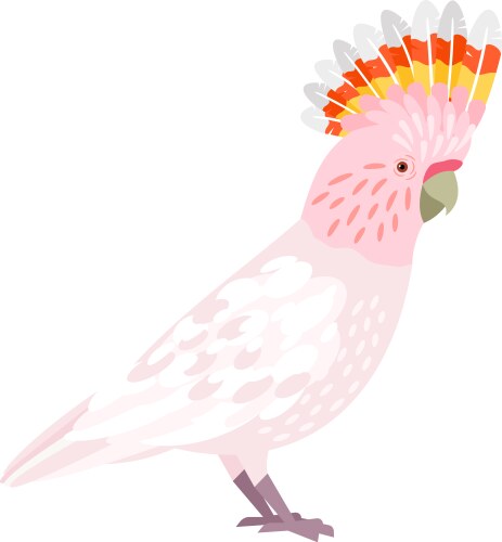 Cockatoo Royalty Free Vector Image - VectorStock