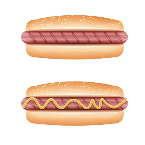 Hot dog color picture Royalty Free Vector Image