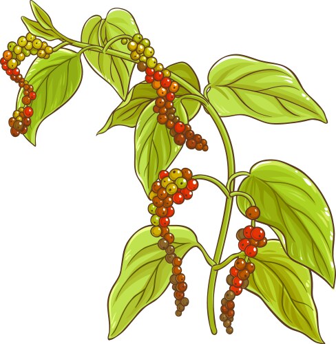 Pepper Vector Images (over 130,000)