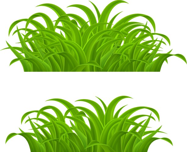 Grass and ground Royalty Free Vector Image - VectorStock